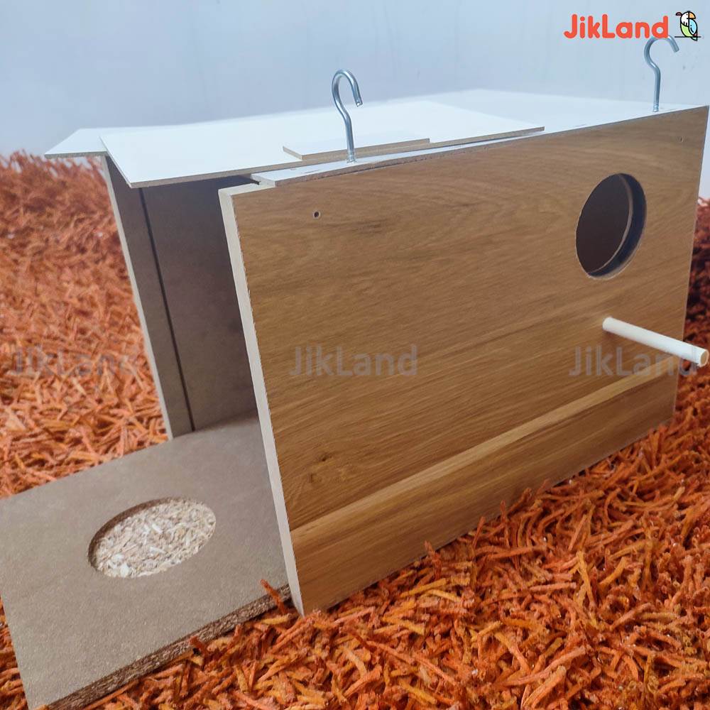 لانه گرینچیک، طوطی راهب خورشیدی چوبی